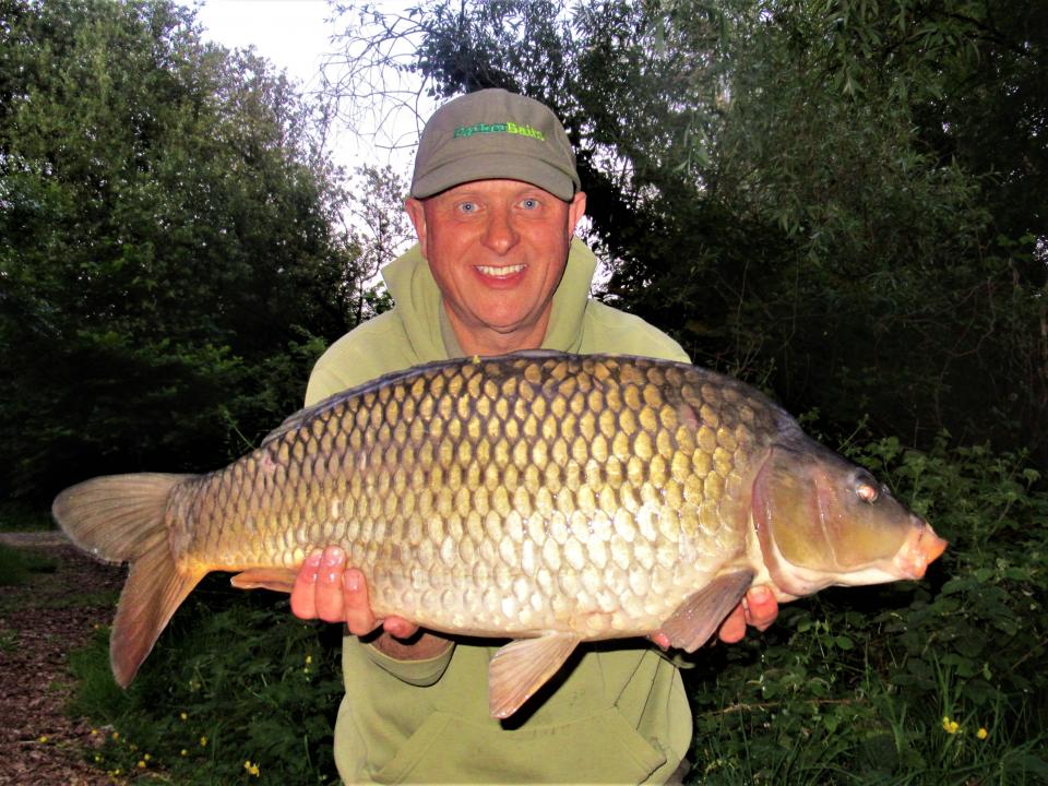 High Shouldered Common | Total Carp